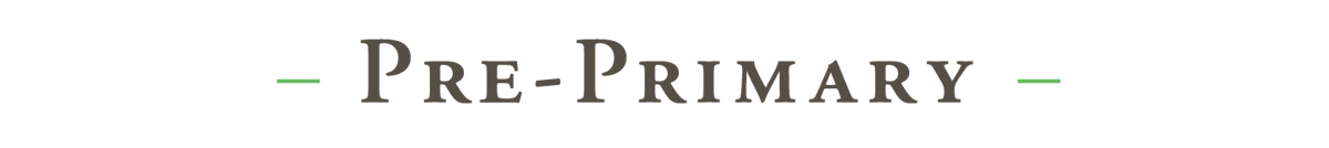 A Portrait of the Pine Crest Experience